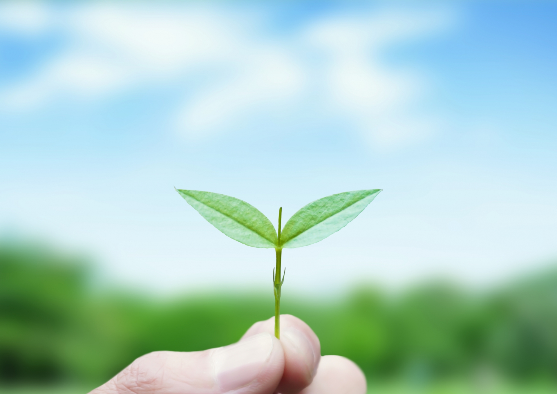 メッセージ - WBP RECRUIT